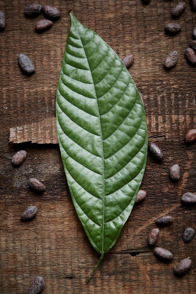 Handcrafted Artisan Chocolates | Éclat Chocolate